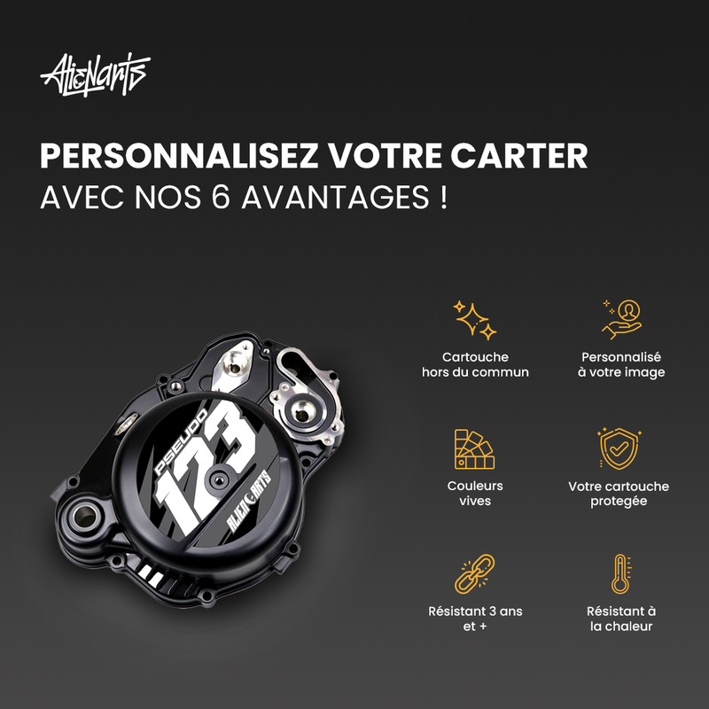 Kit déco carter AM6 | Sur-mesure | AlienArts